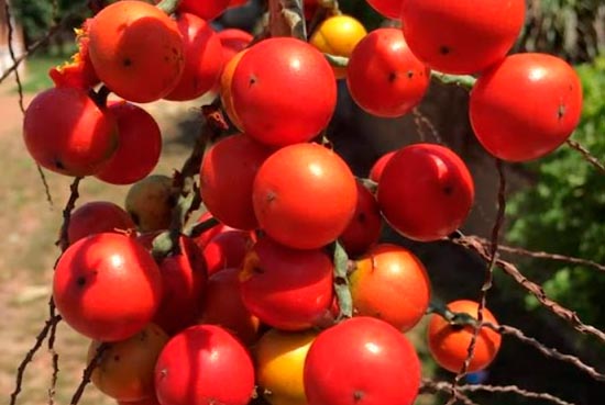 Moniquirá – Observatorio Cultura y Patrimonio de Boyacá